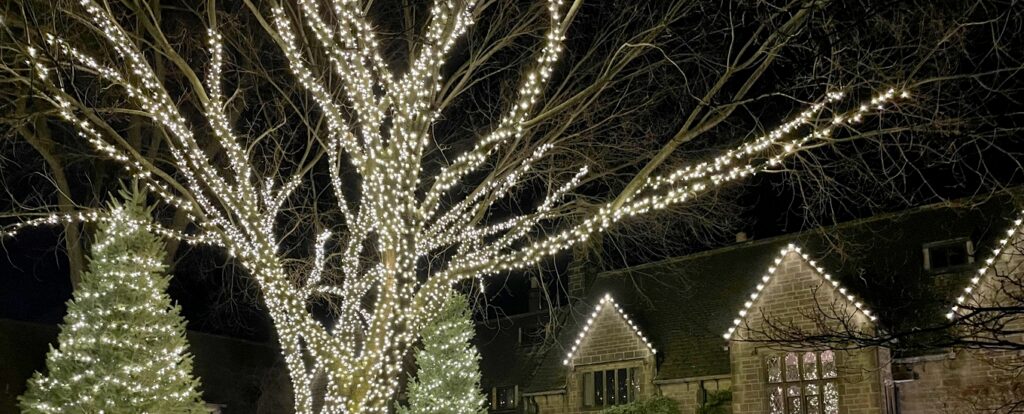 Tree Wrapping - Celebrate Holiday Lighting