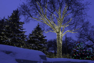 Home - Celebrate Holiday Lighting